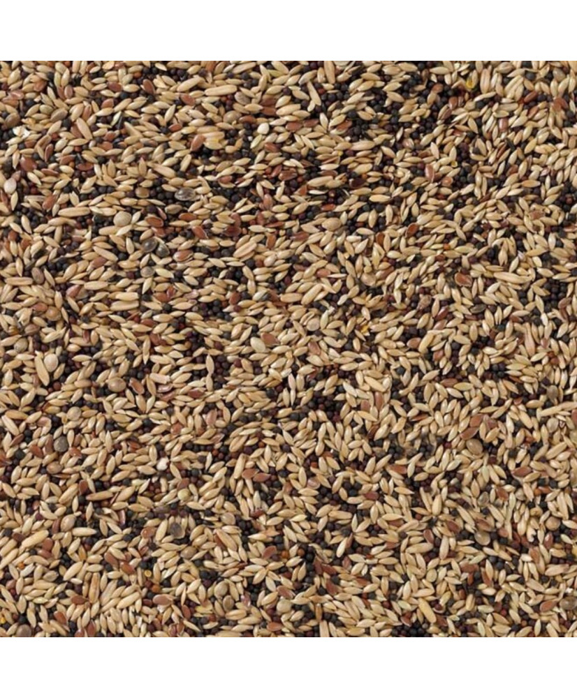 Deli Nature 53 Kanarie Extra 20kg